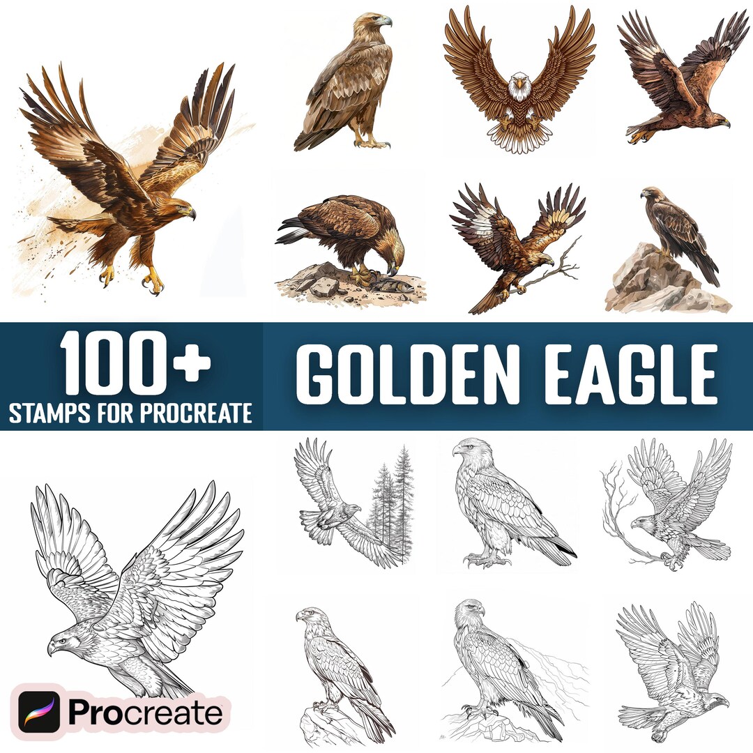 100+ Golden Eagle Procreate Stamps, Brushes for Procreate, Instant ...