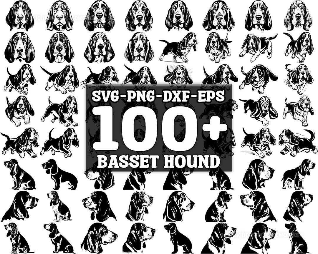 Basset Hound SVG Bundle, Set of 100, Instant Digital Download, Png, Svg ...