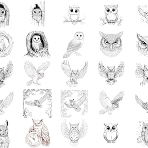 100+ Owl Tattoo Procreate Stamps, Brushes for Procreate, Instant ...