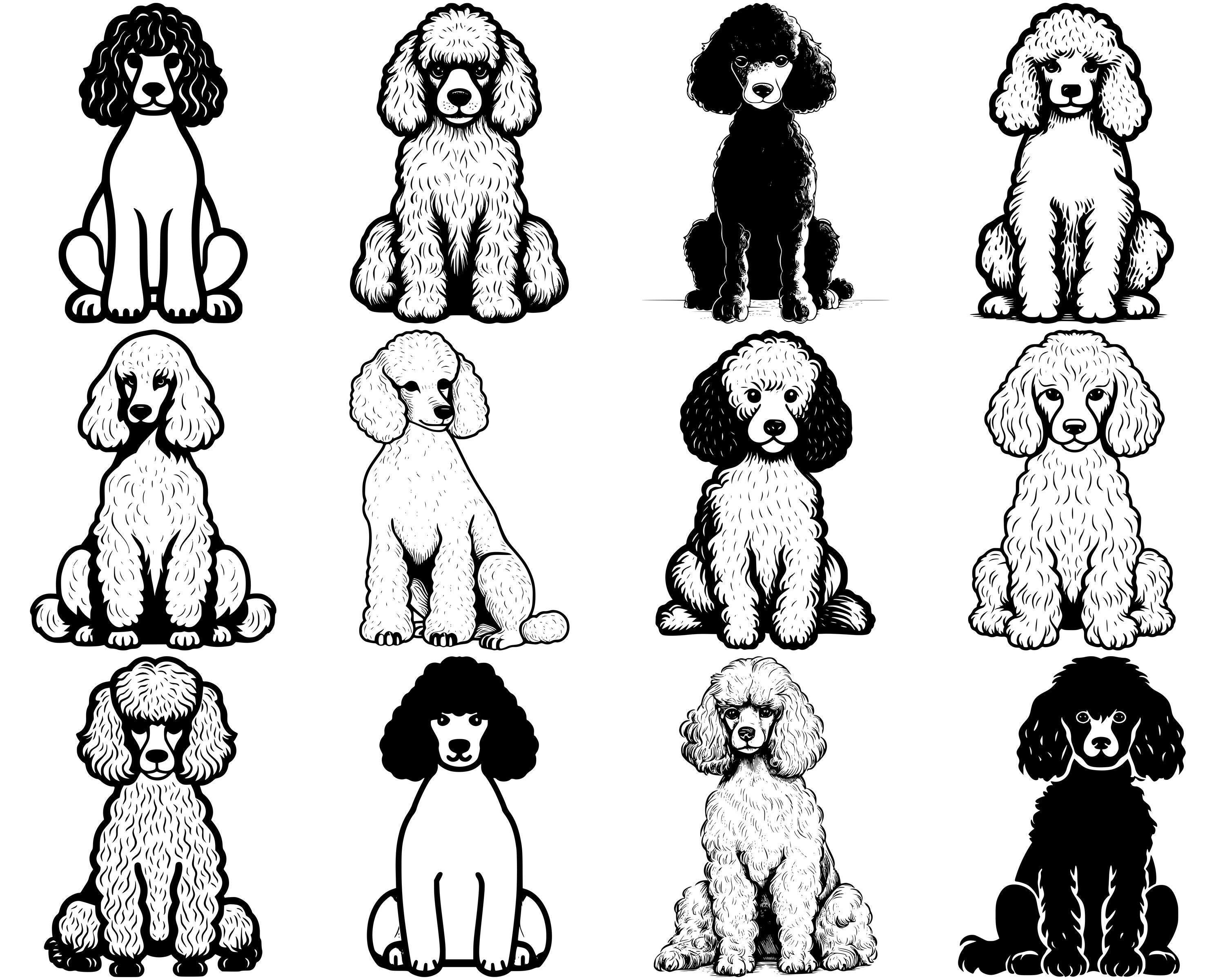 Poodle Dog SVG Bundle, Set of 100, Instant Digital Download, Png, Svg ...