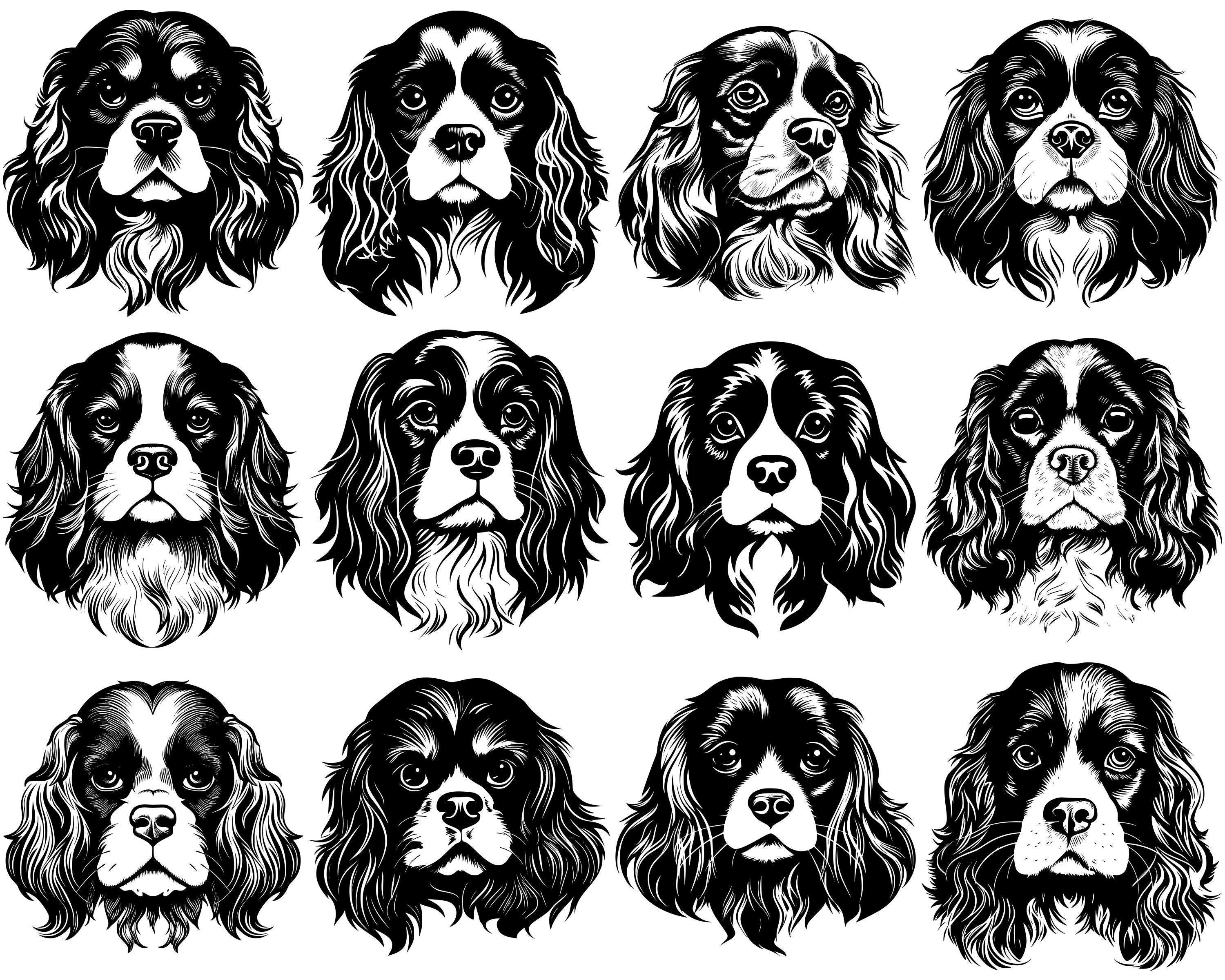 King Charles SVG Bundle, Set of 100, Instant Digital Download, Png, Svg ...