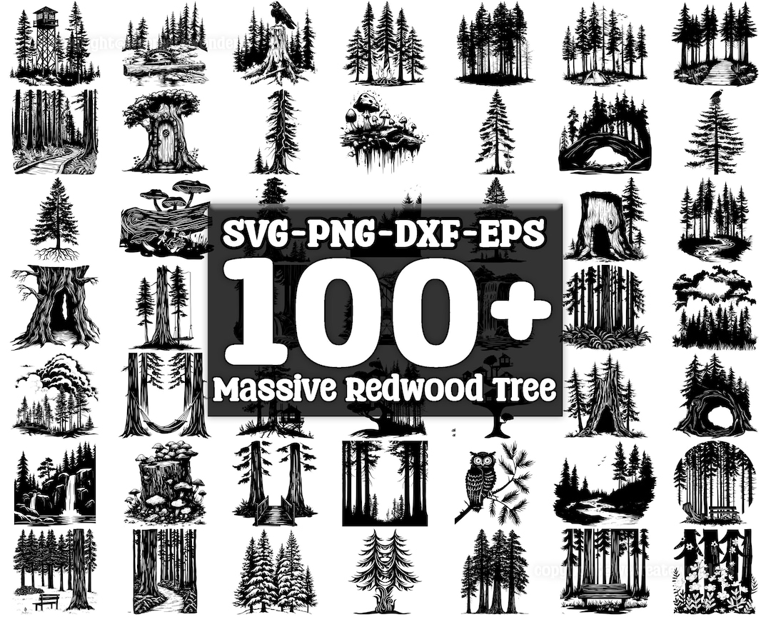 Massive Redwood Tree SVG Bundle, Set of 100, Instant Digital Download ...