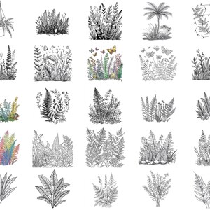 100+ Fern Forest Procreate Stamps, Brushes for Procreate, Instant ...