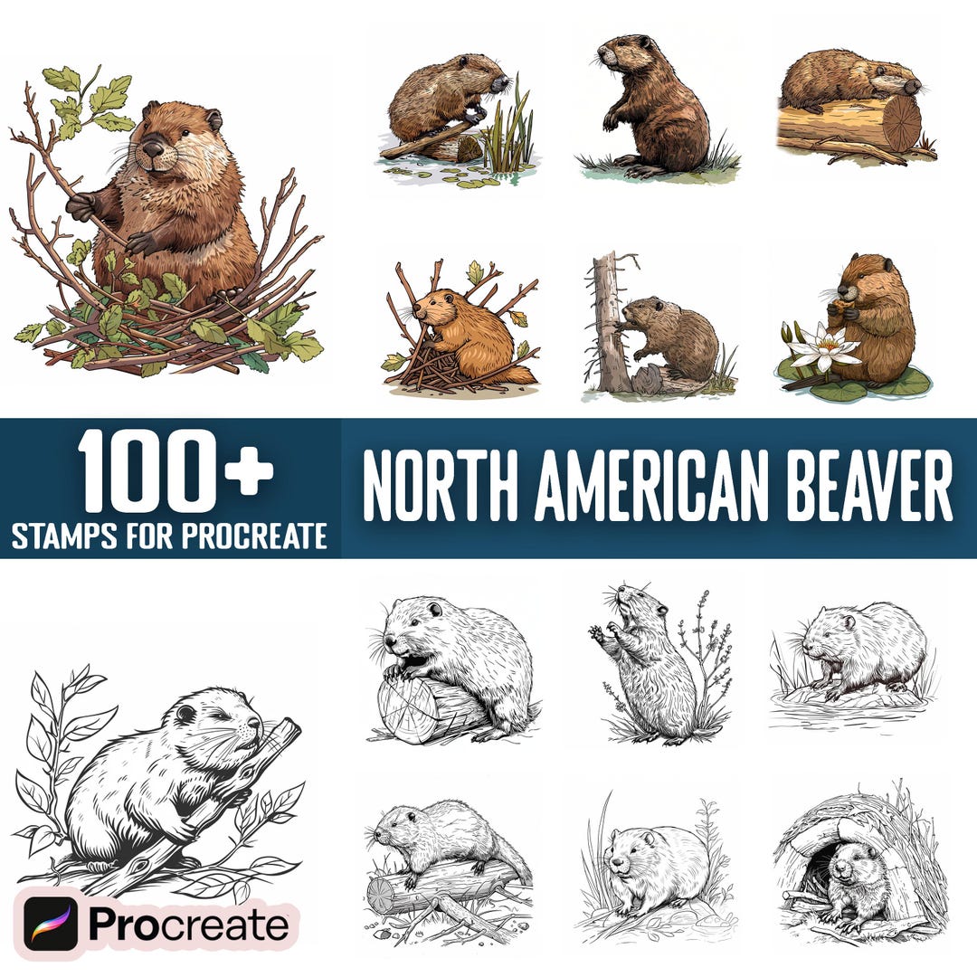 100+ North American Beaver Procreate Stamps, Brushes for Procreate ...