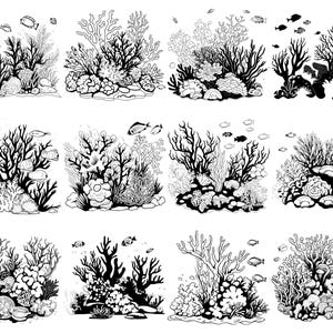 Coral Reef SVG Bundle, Set of 100, Instant Digital Download, Png, Svg ...