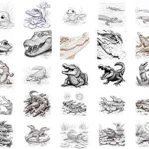 100+ American Alligator Procreate Stamps, Brushes for Procreate ...