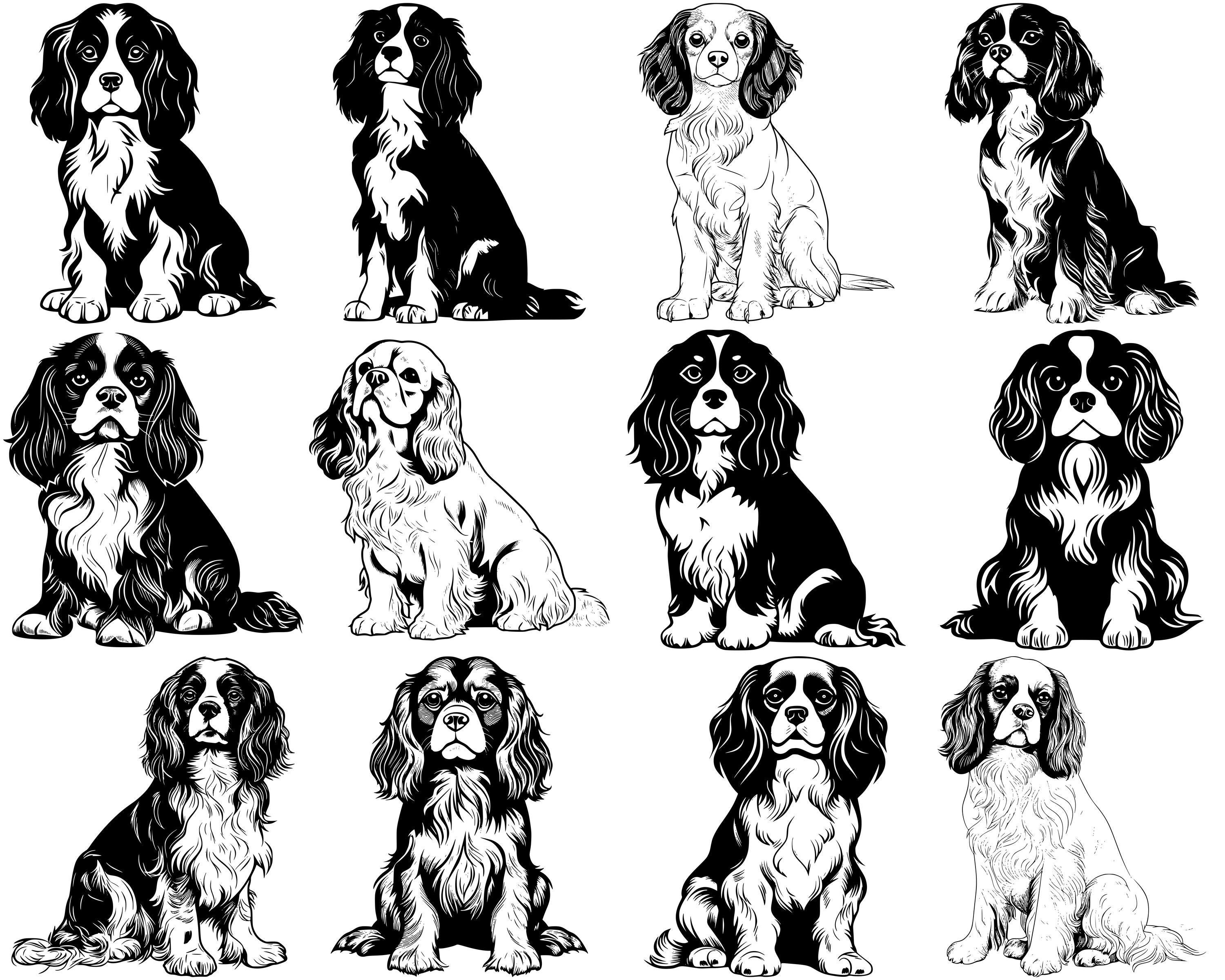 King Charles SVG Bundle, Set of 100, Instant Digital Download, Png, Svg ...