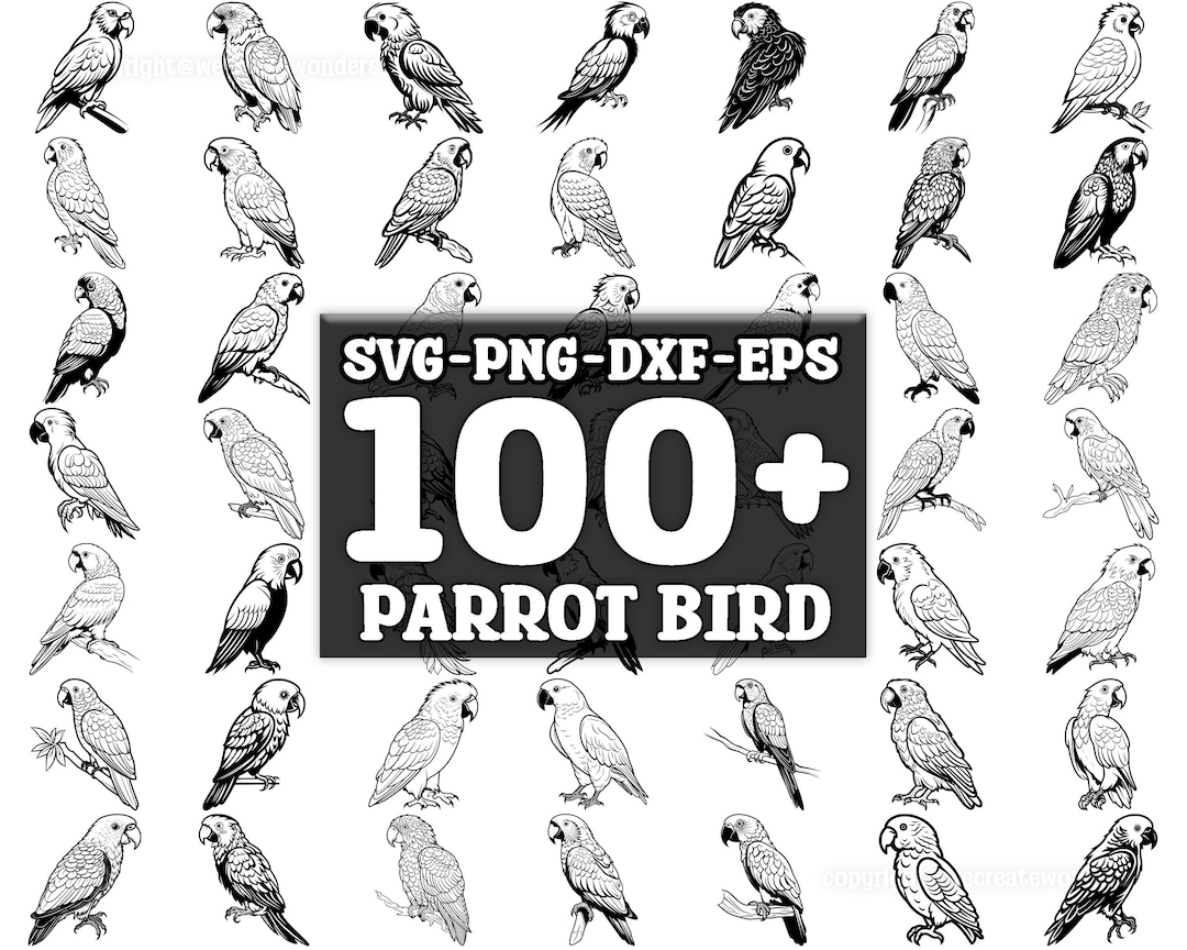 Parrot SVG Bundle, Set of 100, Instant Digital Download, Png, Svg, Eps ...
