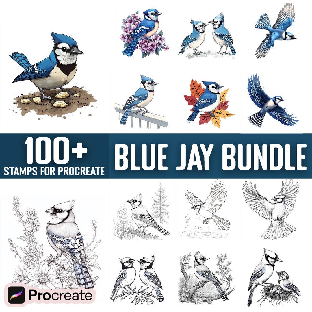 100+ Blue Jay Bird Procreate Stamps, Brushes for Procreate, Instant ...
