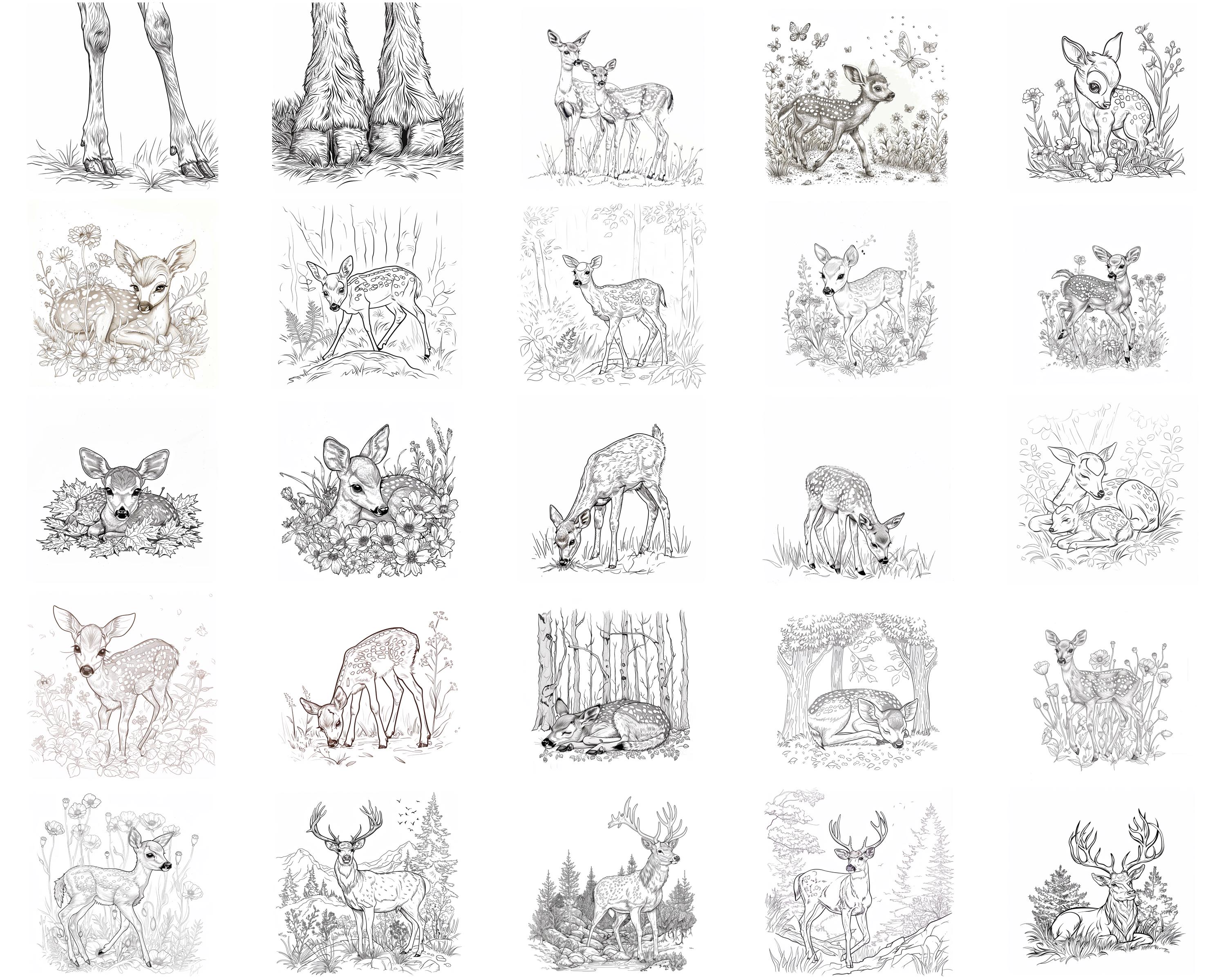 100+ Deer Procreate Stamps, Brushes for Procreate, Instant Digital ...