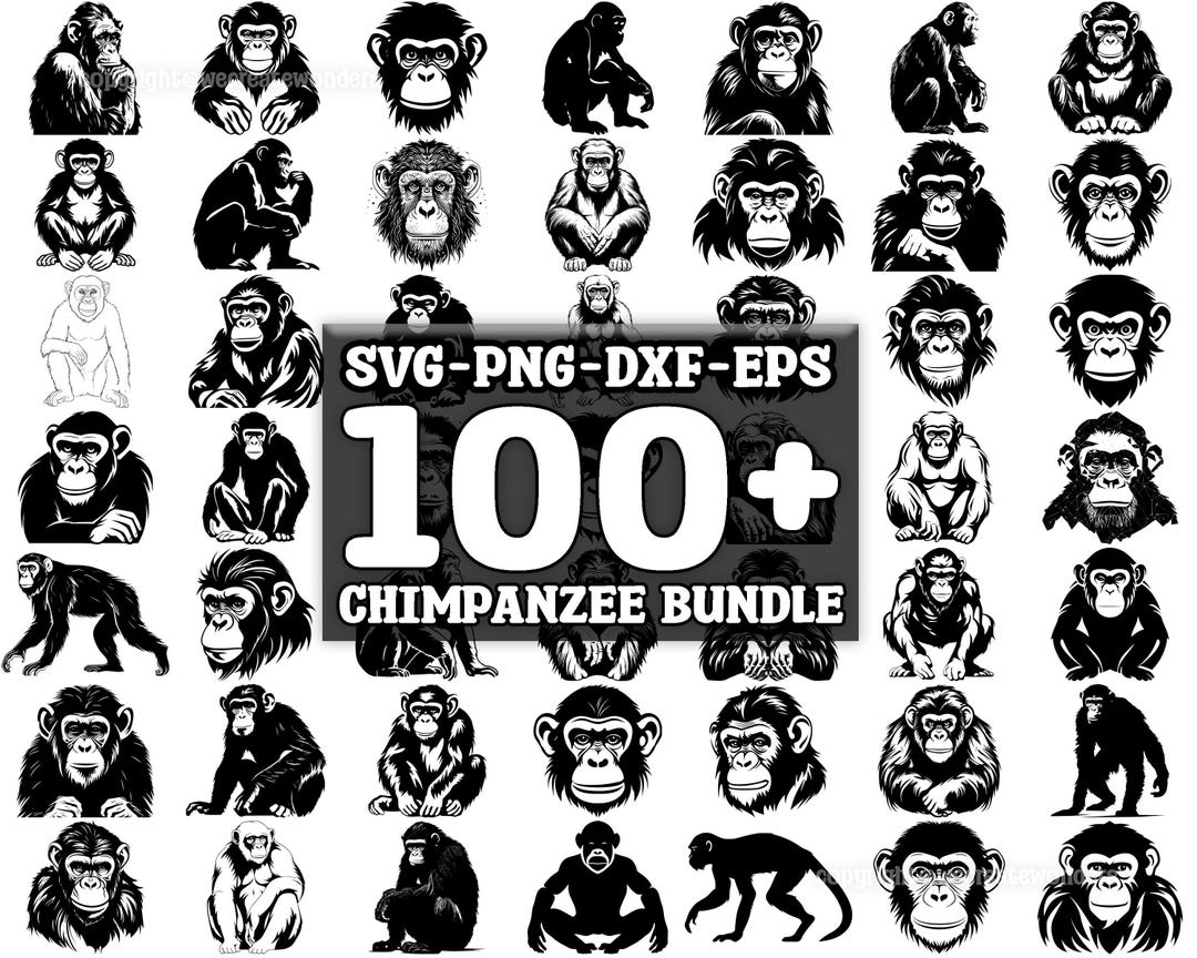 Chimpanzee SVG Bundle, Set of 100, Instant Digital Download, Png, Svg ...