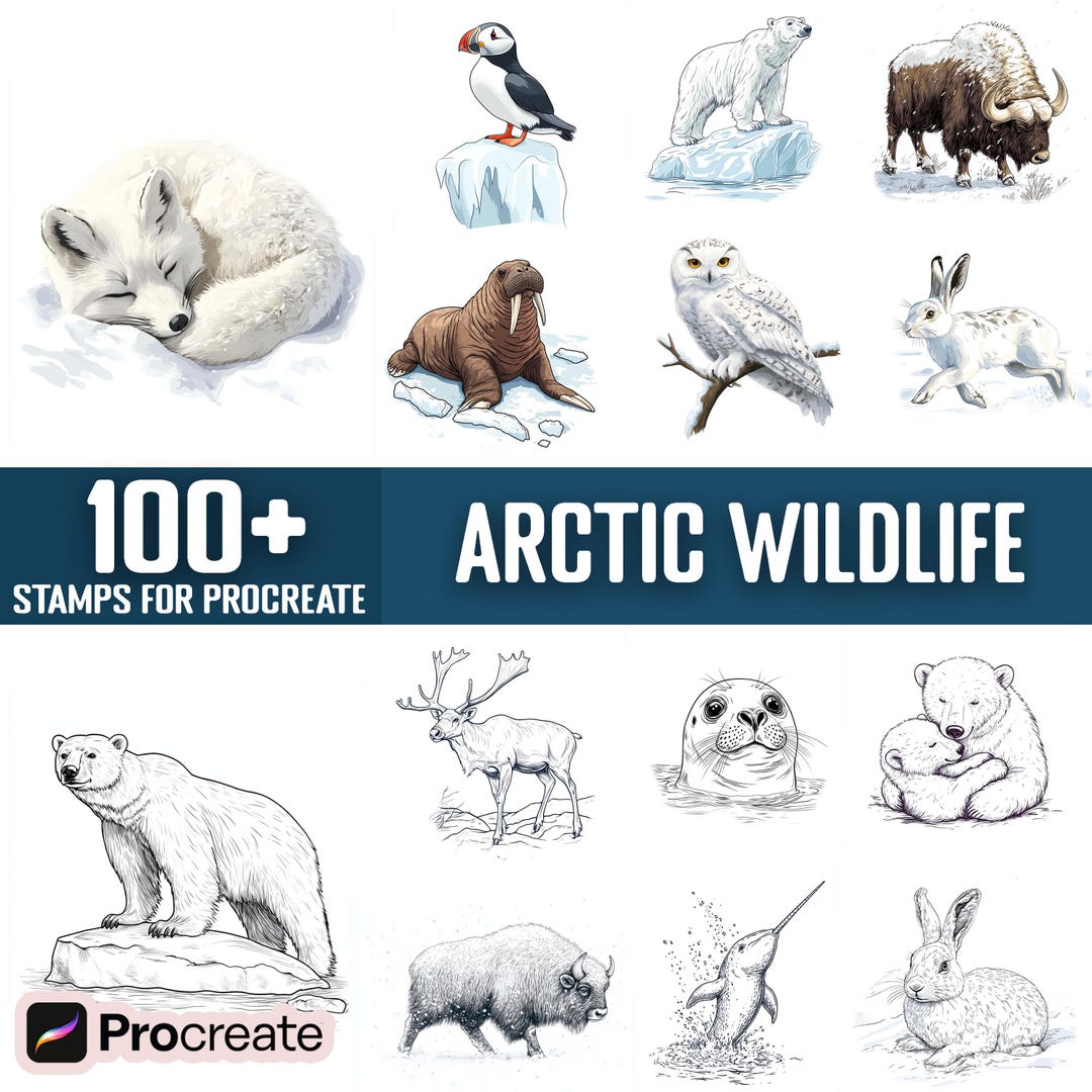 100+ Arctic Wildlife Procreate Stamps, Brushes for Procreate, Instant ...