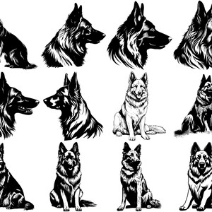 Shiloh Shepherd SVG Bundle, Set of 100, Instant Digital Download, Png ...