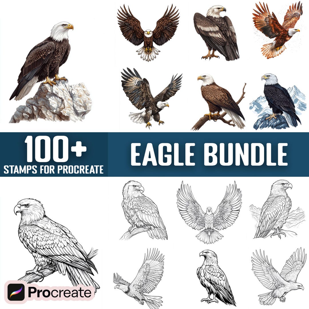 100+ Eagle Procreate Stamps, Brushes for Procreate, Instant Digital ...