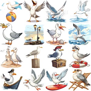 16 Seagull Collection Clipart, Beach Clipart Bundle, Commercial Use PNG ...