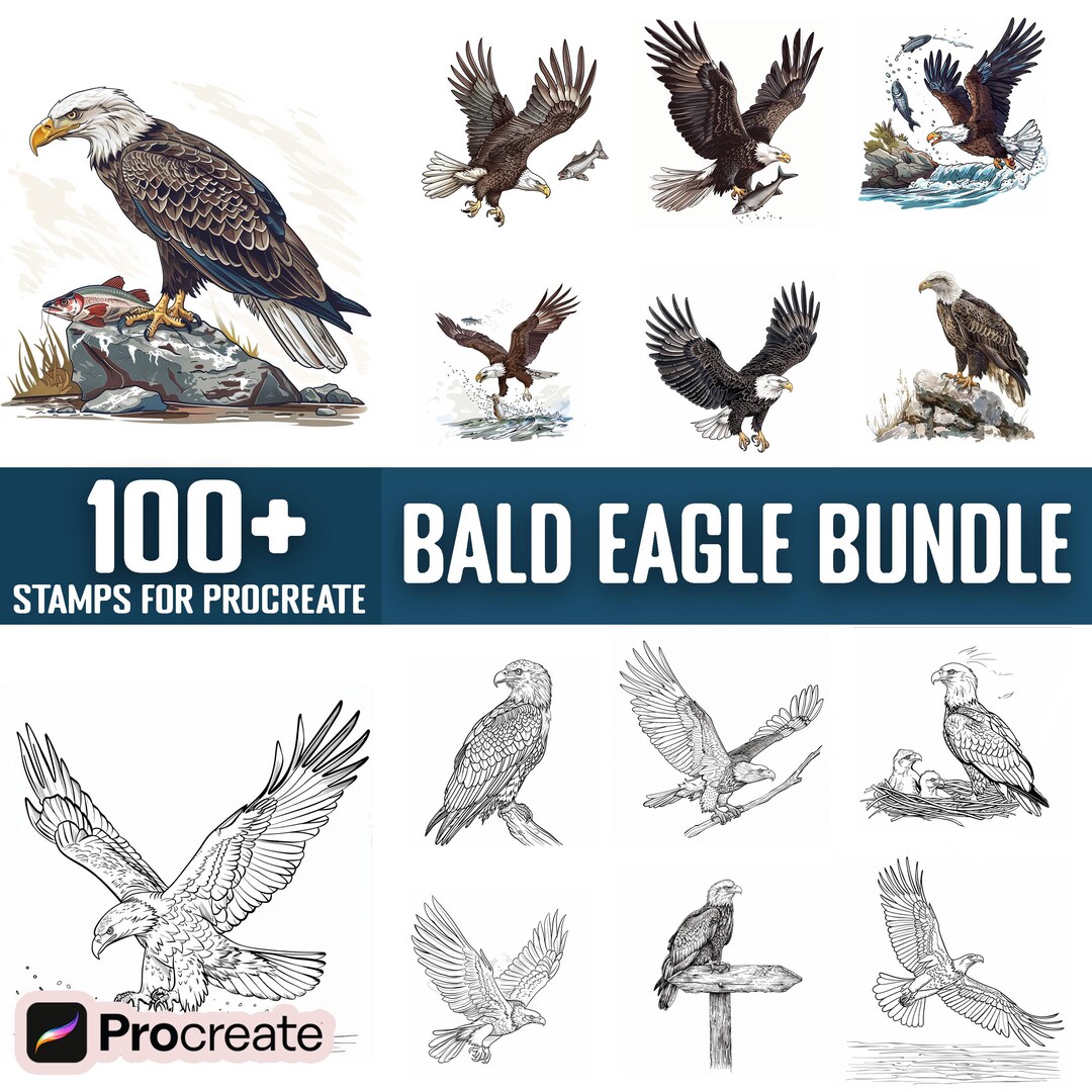100+ Bald Eagle Procreate Stamps, Brushes for Procreate, Instant ...