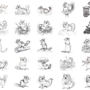 100+ Eastern Chipmunk Procreate Stamps, Brushes for Procreate, Instant Digital Download - Etsy