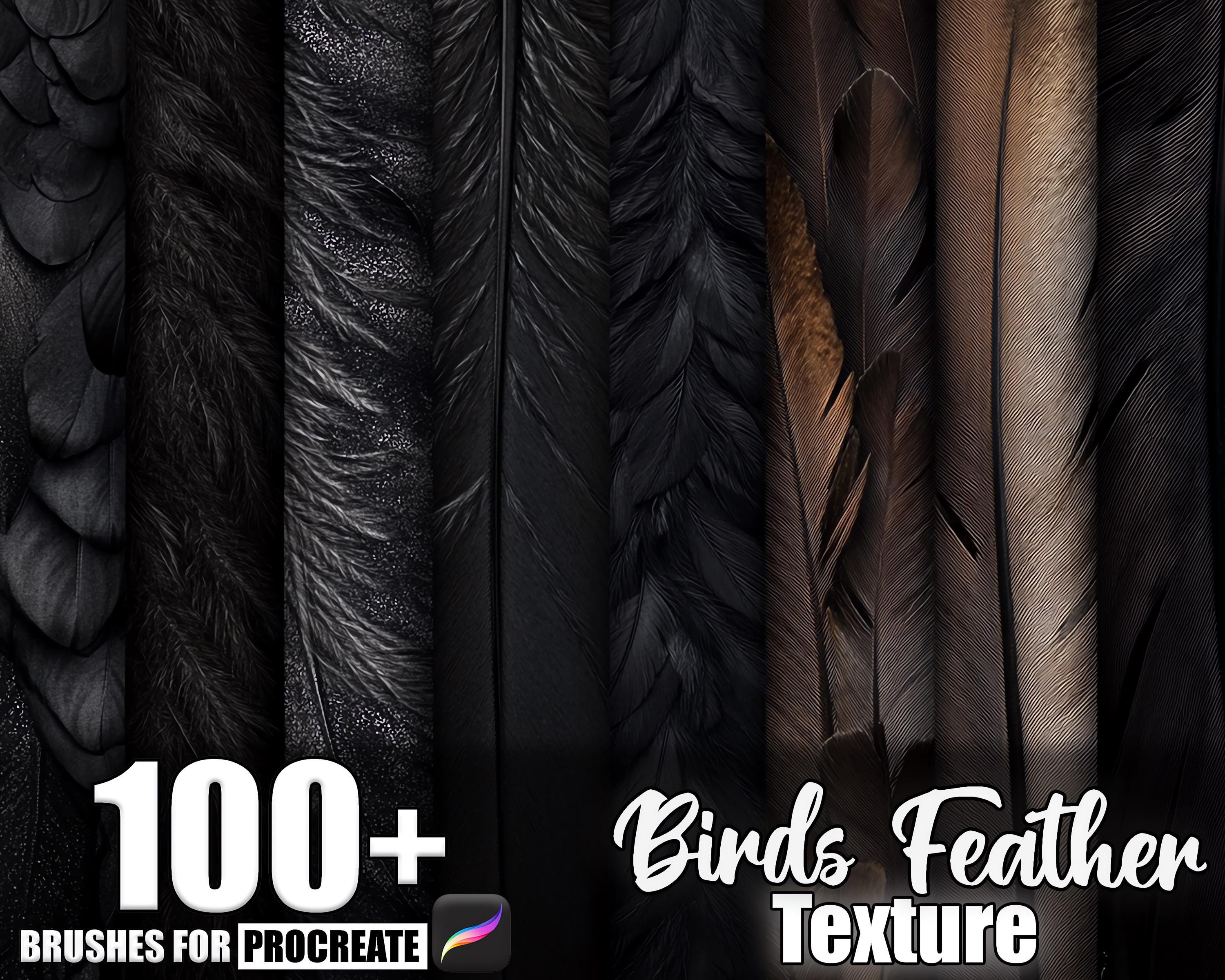 100+ Birds Feather Procreate Textures, Brushes for Procreate, Instant ...