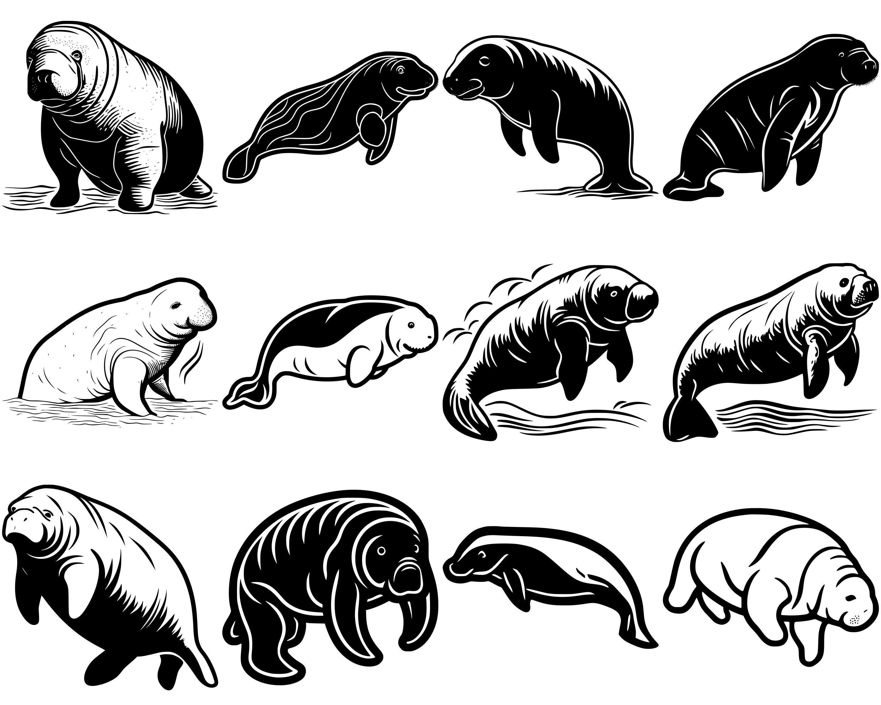 Manatee SVG Bundle, Set of 100, Instant Digital Download, Png, Svg, Eps ...