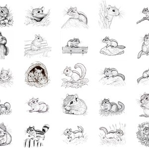 100+ Eastern Chipmunk Procreate Stamps, Brushes for Procreate, Instant Digital Download - Etsy