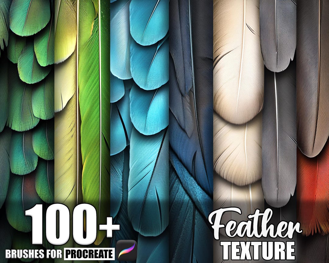 100+ Feather Texture Procreate Textures, Brushes for Procreate, Instant ...
