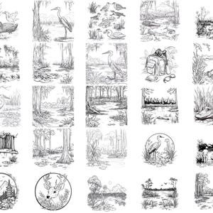 100+ Swamp of Wildlife Procreate Stamps, Brushes for Procreate, Instant ...