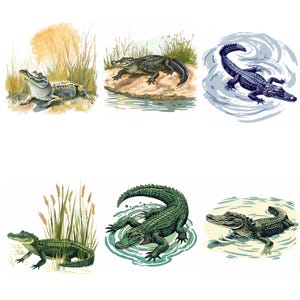 100+ American Alligator Procreate Stamps, Brushes for Procreate ...
