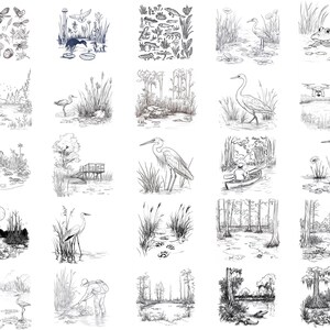 100+ Swamp of Wildlife Procreate Stamps, Brushes for Procreate, Instant ...