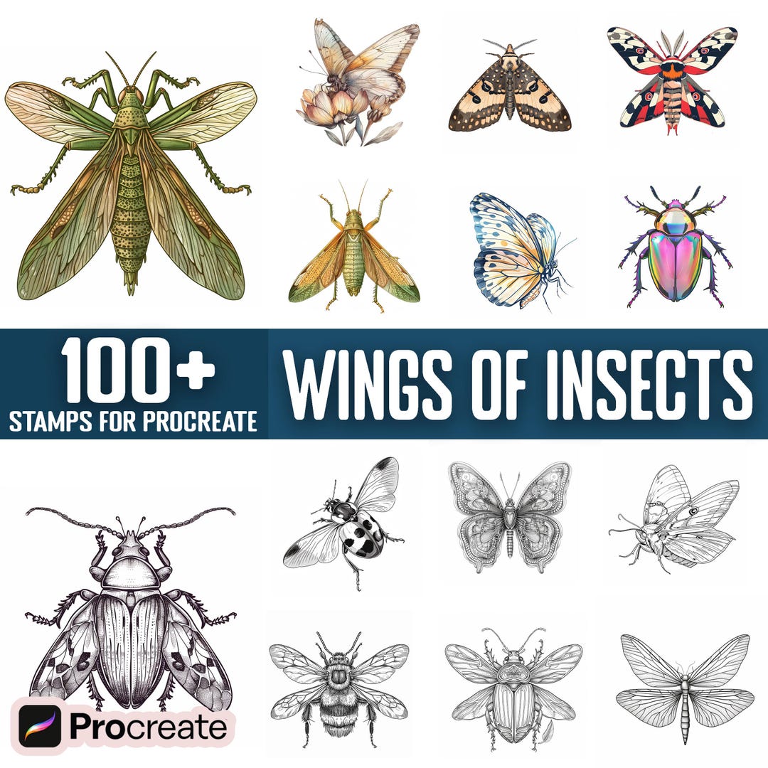 100+ Wings of Insect Procreate Stamps, Brushes for Procreate, Instant ...