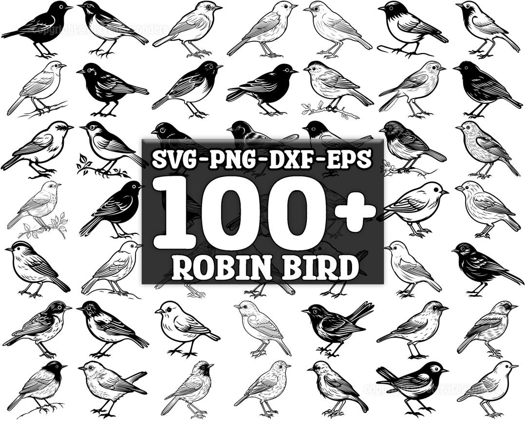 Robin Bird SVG Bundle, Set of 100, Instant Digital Download, Png, Svg ...