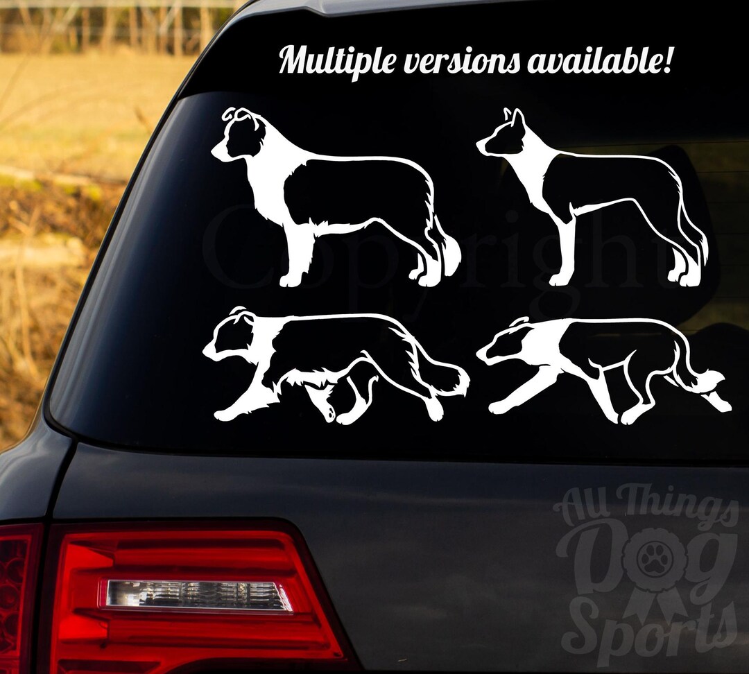 BORDER COLLIE Stack & Gait Vinyl Decal | Purebred Dog, Dog Sports ...
