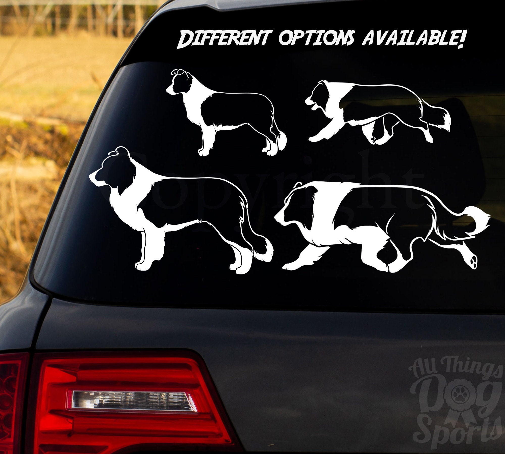 BORDER COLLIE Stack & Gait Vinyl Decal | Purebred Dog, Dog Sports ...