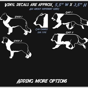 BORDER COLLIE Stack & Gait Vinyl Decal Purebred Dog Dog - Etsy