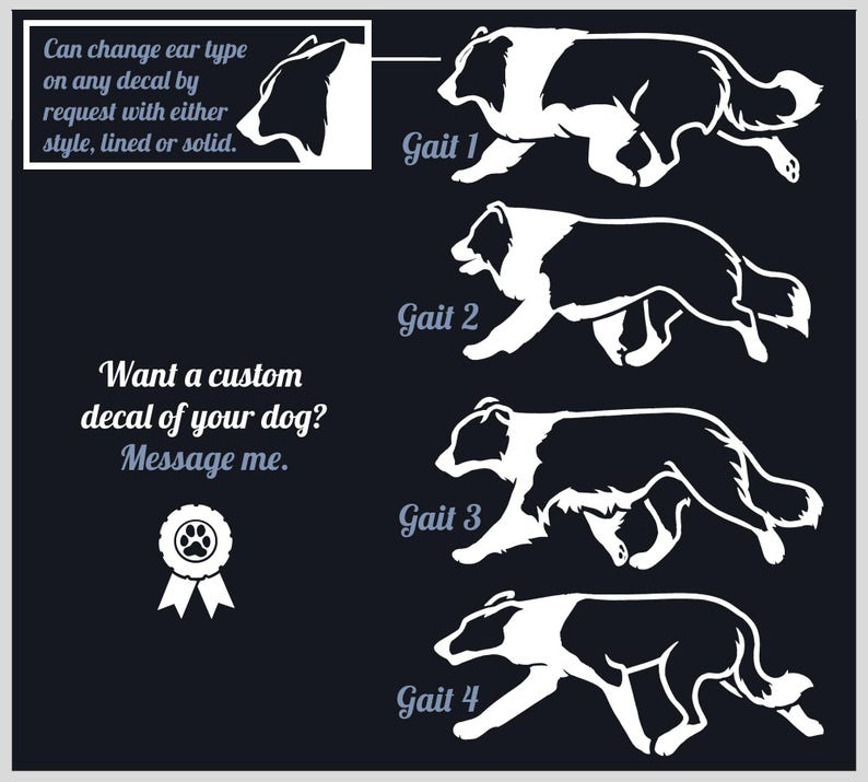 BORDER COLLIE Stack & Gait Vinyl Decal | Purebred Dog, Dog Sports ...