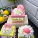 Faux Pink Lemonade Sponge Cake - Etsy