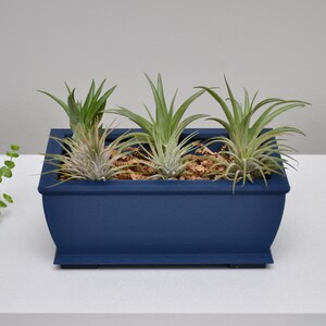 Shallow Rectangular Planter Box | Pot for Shallow Roots | Succulents ...