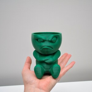 Grumpy Planter - He's Never Happy! | 3 Sizes | With or Without Drainage ...
