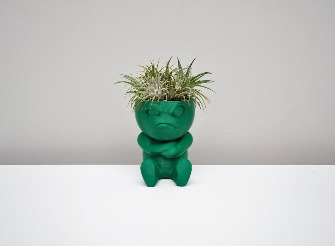 Grumpy Planter - He's Never Happy! | 3 Sizes | With or Without Drainage ...