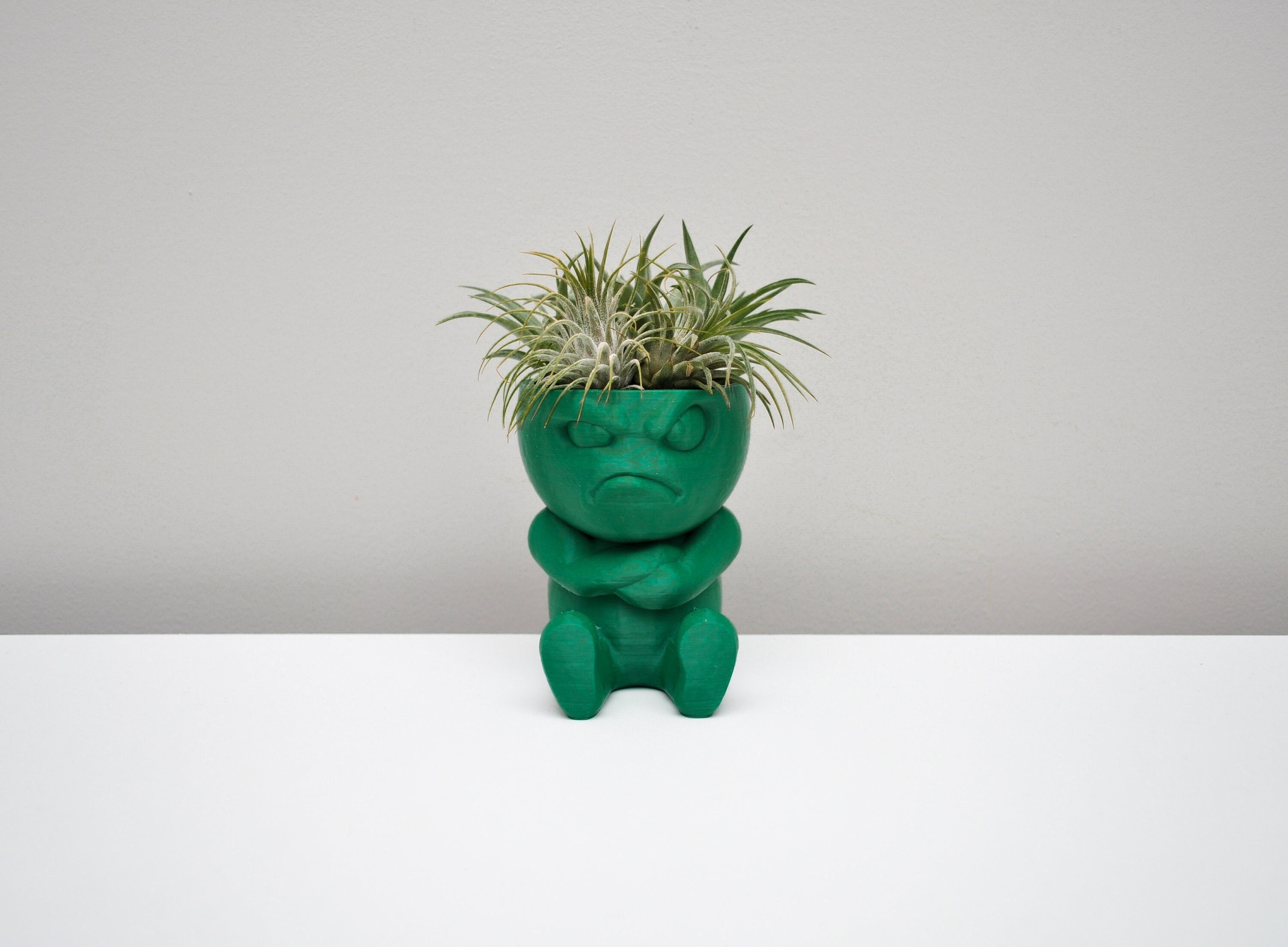 Grumpy Planter – Funny Air Plant Holder 3D Printed - Etsy