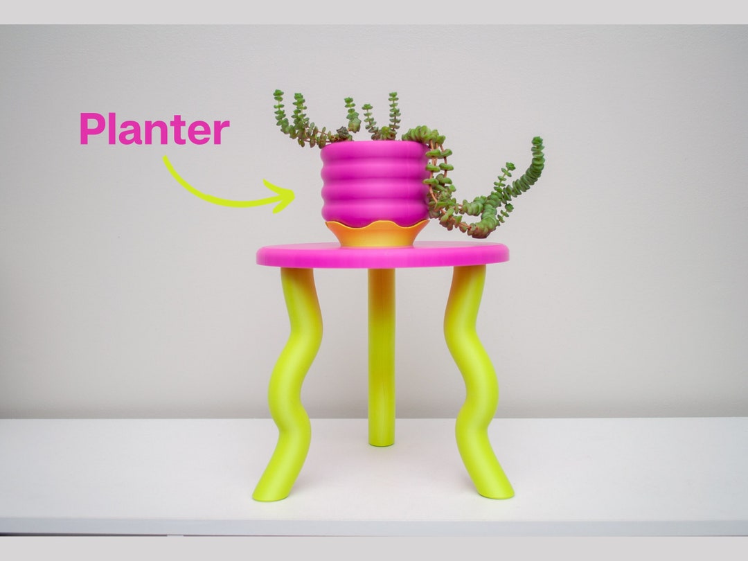 3" Bubble Succulent Planter With Tray - Etsy