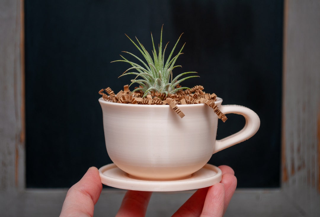 Latte Coffee Mug & Saucer Planter for Succulents, Air Plants | Tea Cup ...