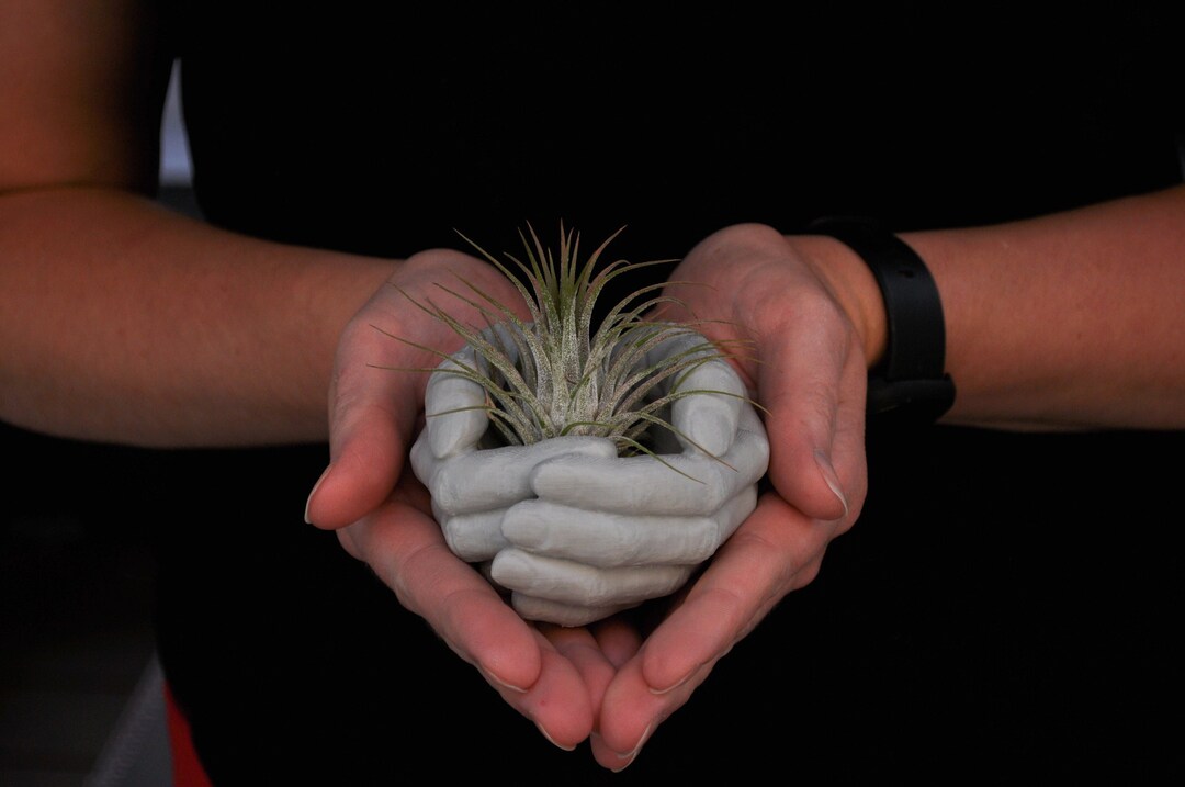 Cupped Hands Bowl Hands Planter Air Plant Holder Heart Catchall Ring ...