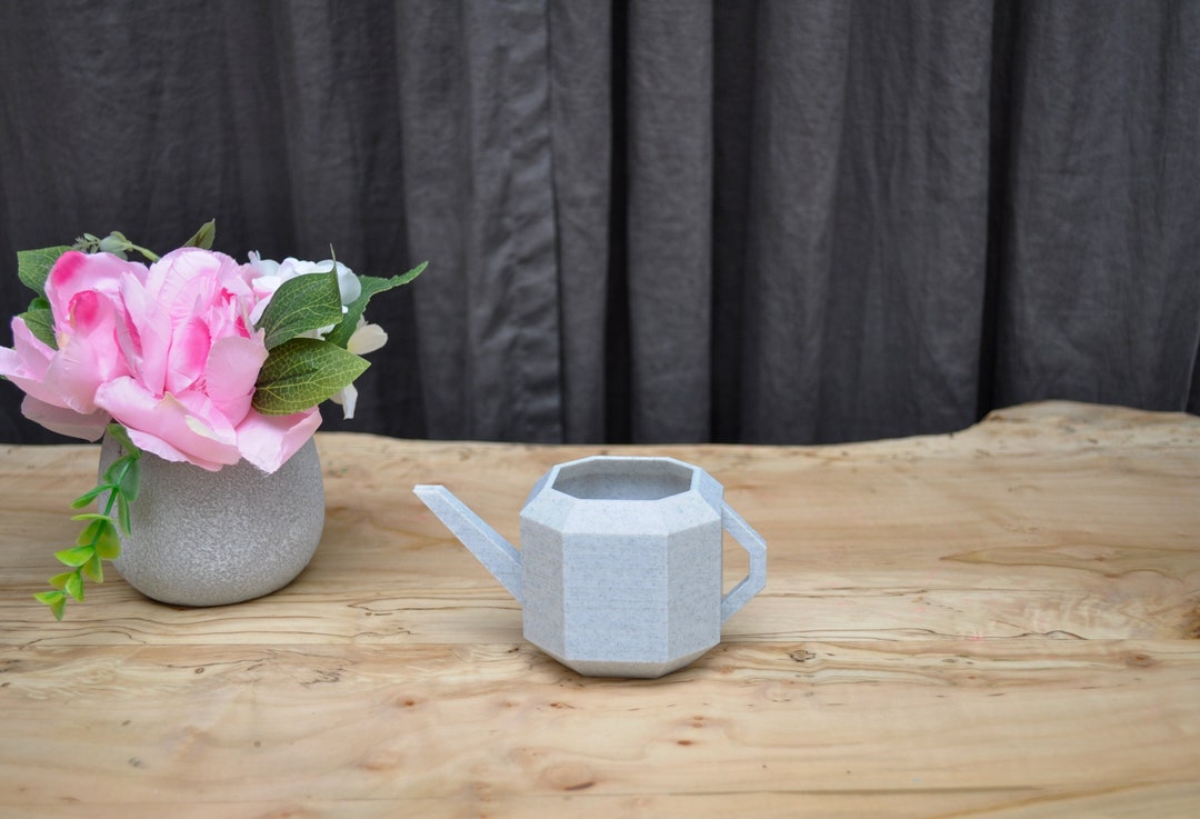 Octagon Precise Watering Can for Succulents, Herbs, up to Medium Sized ...
