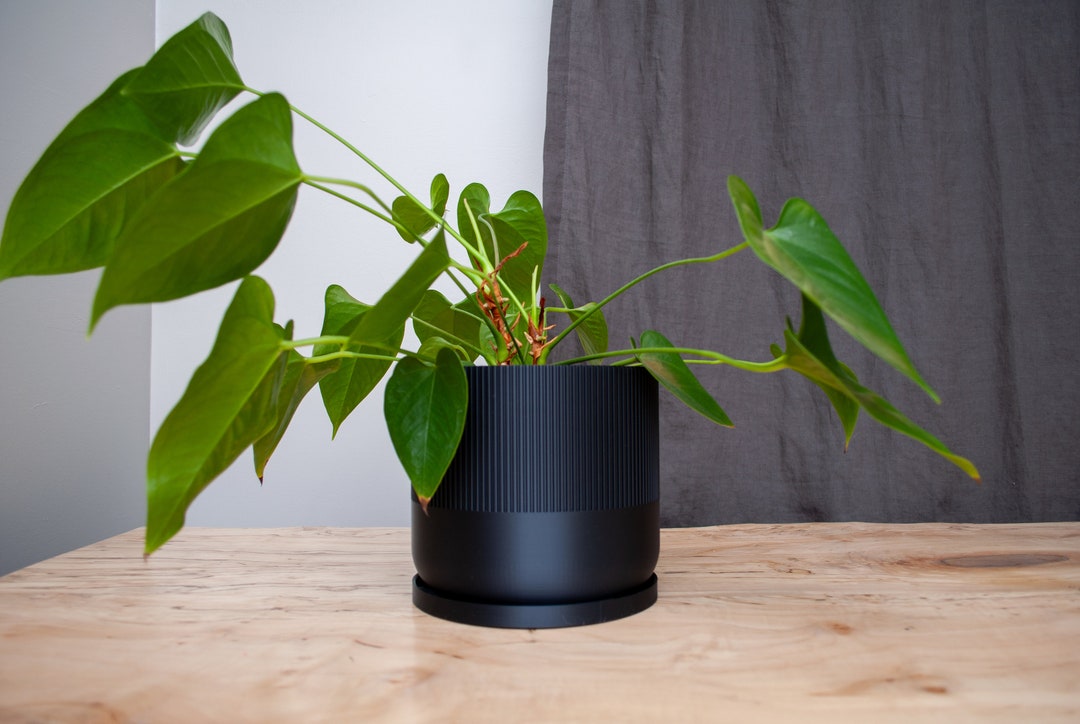 6 Inch Mid Century Modern Ribbed Planter With Drainage Tray Holes ...