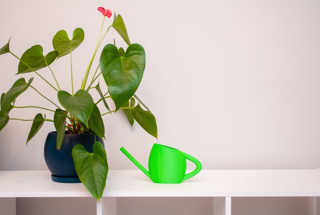 Miniature Slim Precise Watering Can for Succulents Herbs Small Plants ...