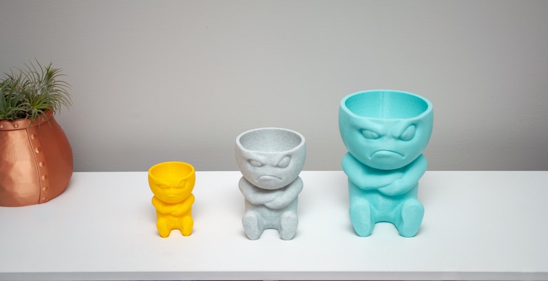 Grumpy 3D Printed Planter – Funny Air Plant Holder - Etsy