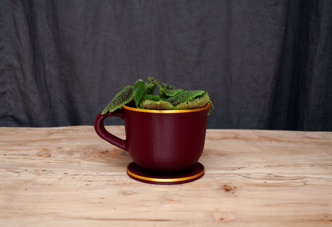 Two Tone Coffee Mug & Saucer Planter for Succulents Air Plants Latte ...