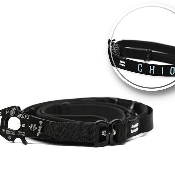 Biothane Leash Kong Frog - Etsy