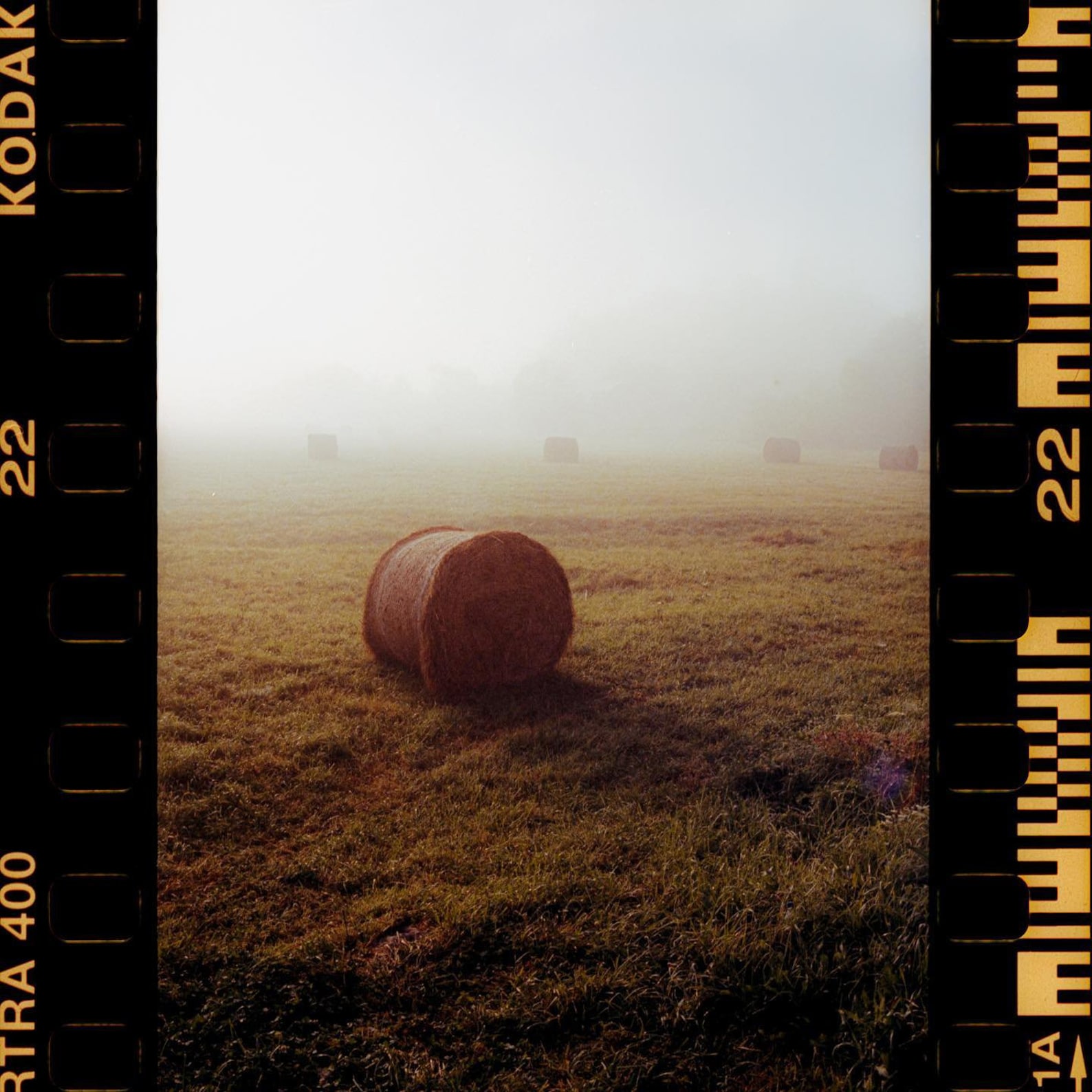 40 Film Frame Negative Borders (kodak and More) Pack 1 - Etsy