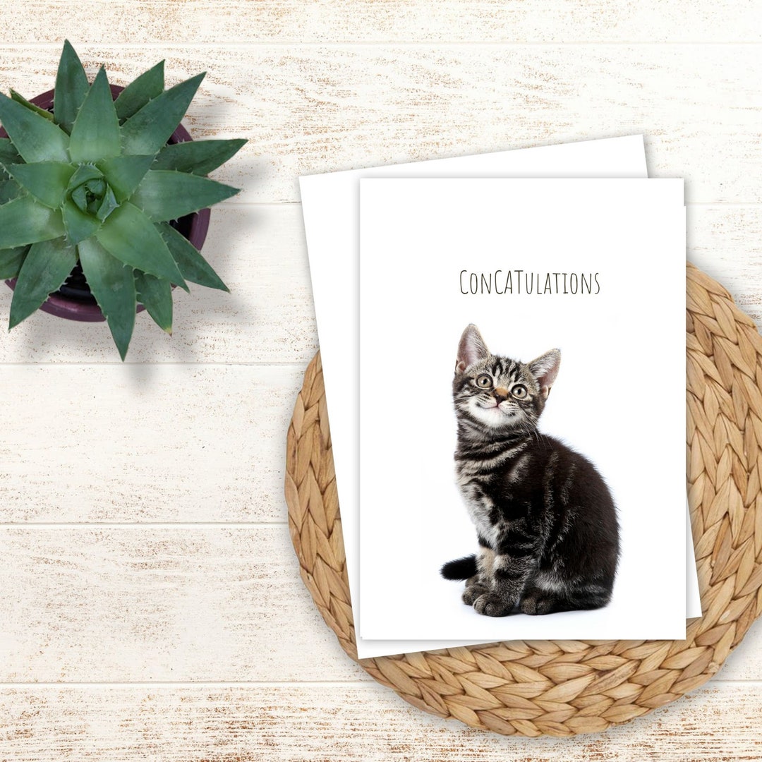 Congratulations Greeting Card Celebration Greeting Card Cat Lover ...